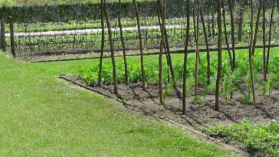 Aanbod | Eigen Moestuin Eigen Voorraad